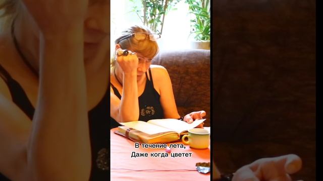 Чем можно заменить имбирь?