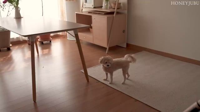 Готовь со мной