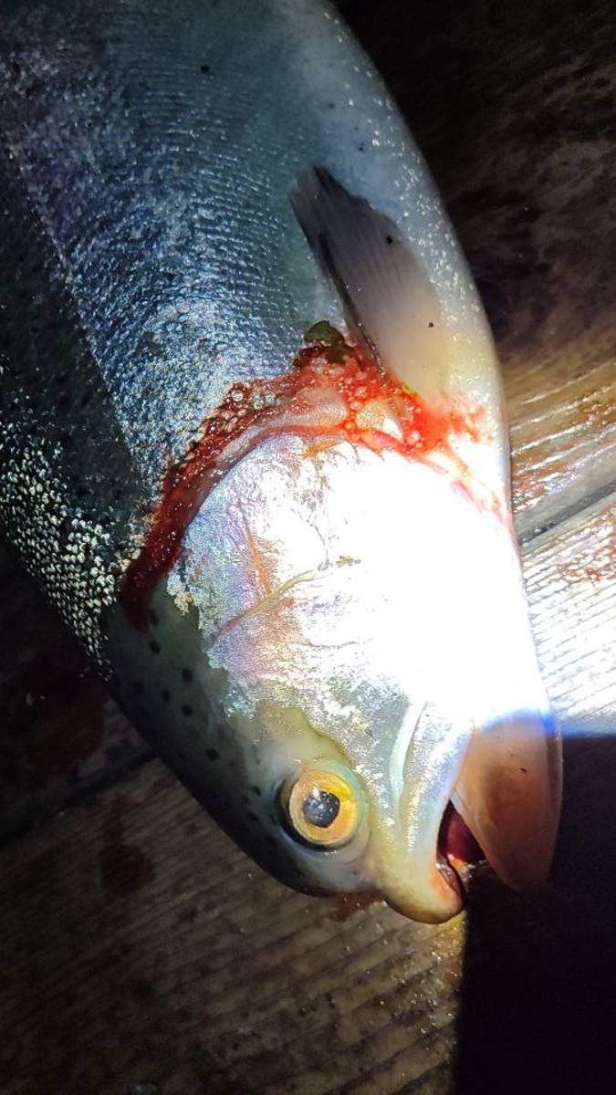 Обломы случаются