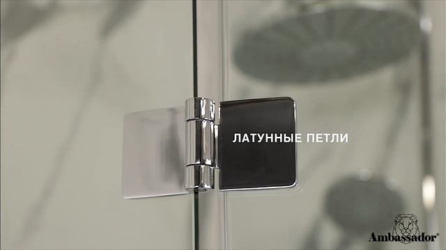 Душевой уголок Ambassador Diamond 12011111 90x90 см