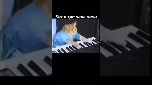 а ты фанат котиков ?✓