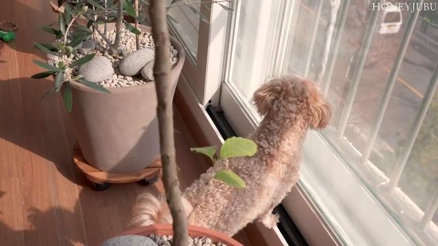 5: 00 утра Приготовьте полезный завтрак Приготовьте 8 питательных вторых блюд