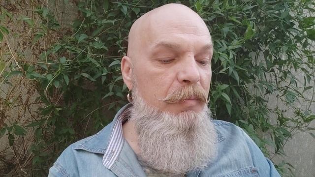 Волшебная скрипка