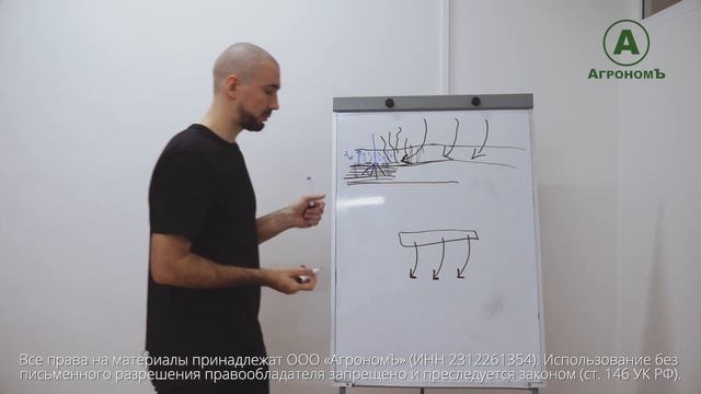 Назначение, типы и устройство культиваторов простыми словами