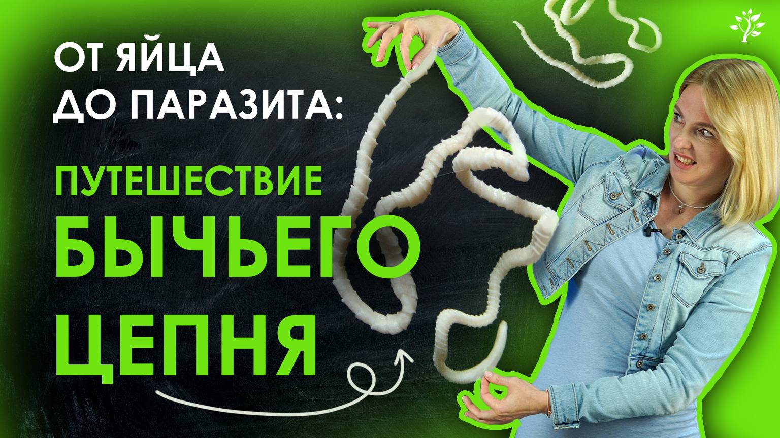 От яйца до паразита： путешествие БЫЧЬЕГО ЦЕПНЯ ｜ TutorOnline
