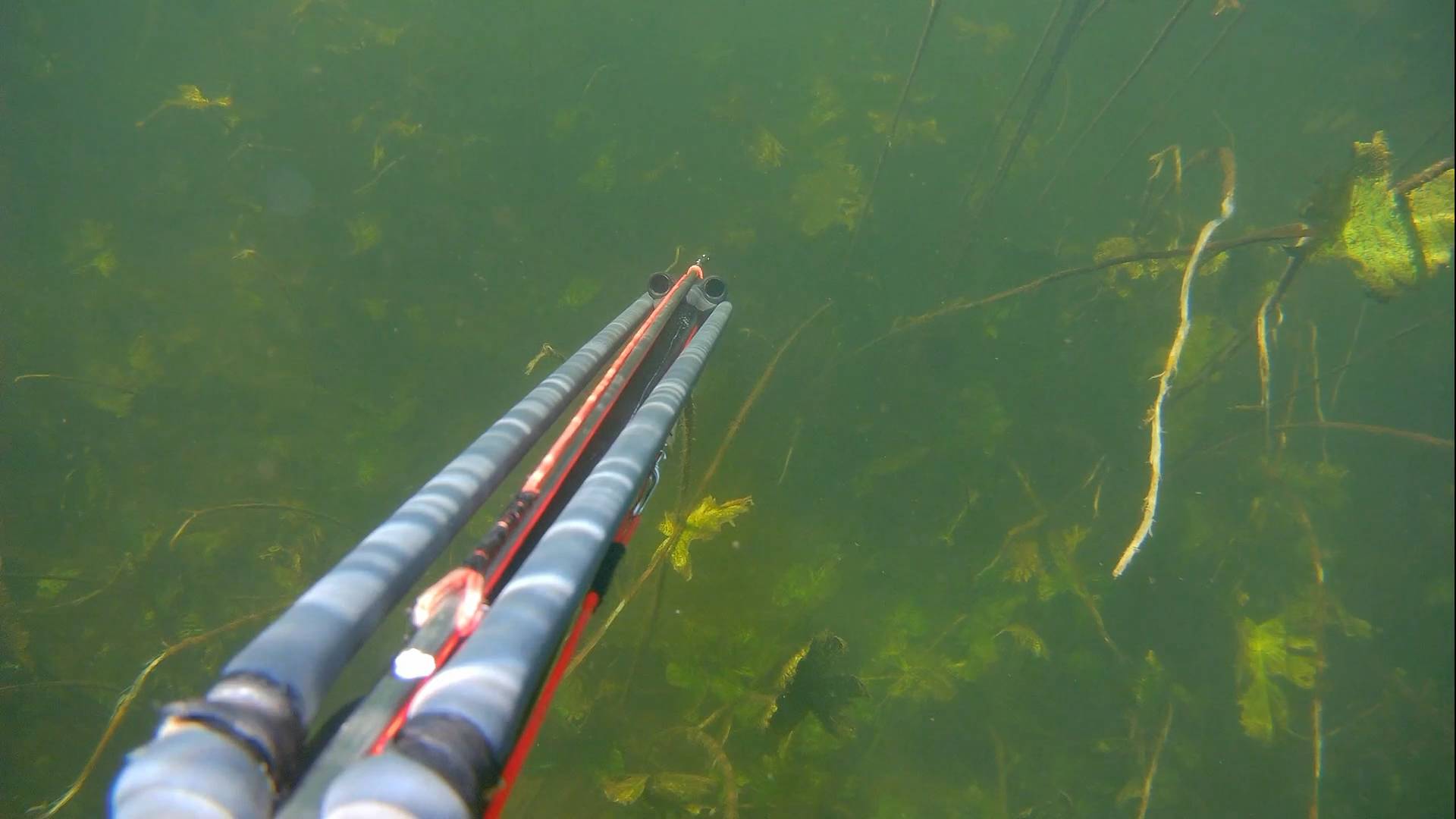 Подводная охота в красивых местах Щука на 5 кг с арбалета