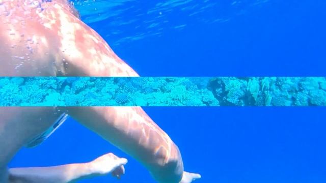 Прощаемся с отелем Baron Palms