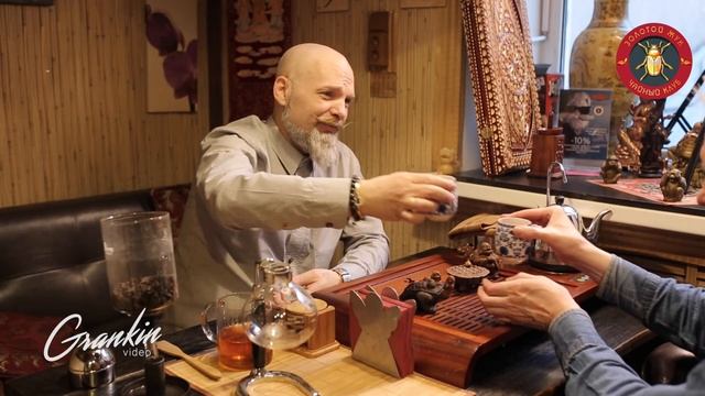 Золотой жук Гаркуша