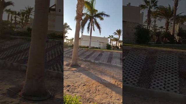 Прогулка по CORAL BEACH HOTEL с пушистым гидом