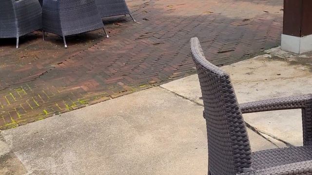 Отдых на Шри-Ланке продолжается