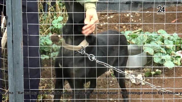 Мөслим ТВ 18.10.2024