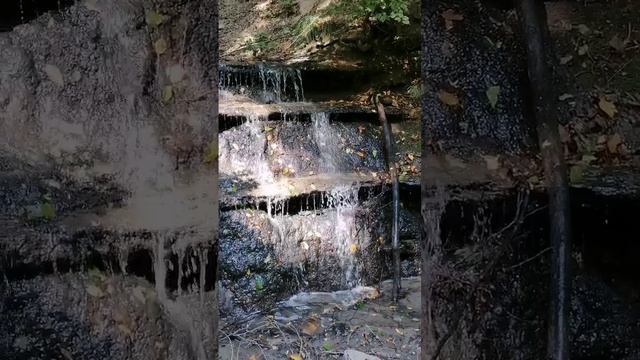 В Татарском лесу. Ставрополь.