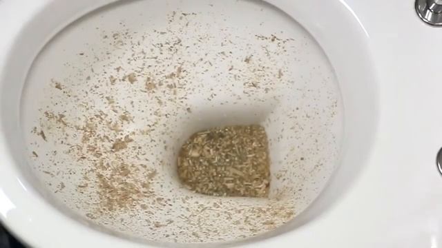 Тестирование унитаза Della Boston