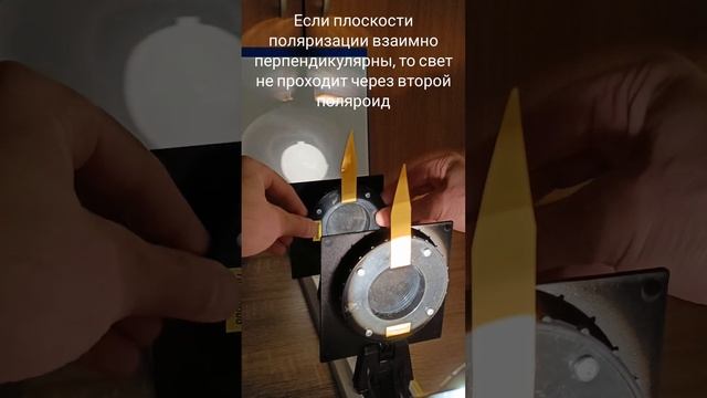 Поляризация света #physics #experiment #science #shorts