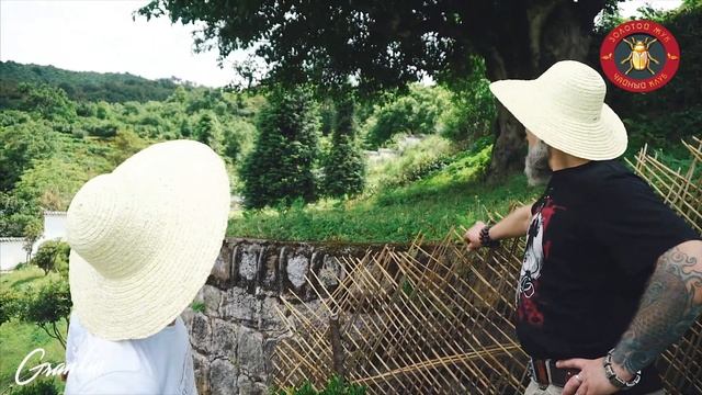 Поездка к чайному "дереву")))