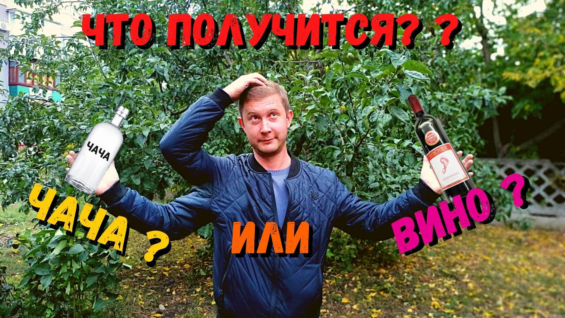 ЧАЧА или ВИНО? | Что получится? | В домашних условиях | Своим руками | Часть1