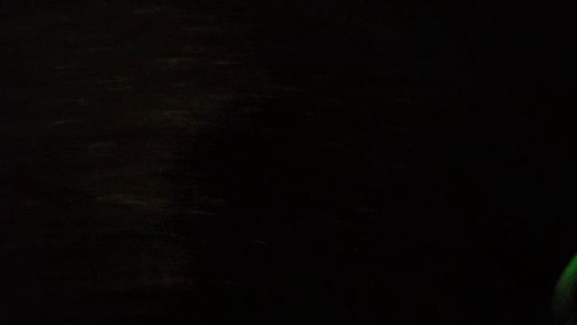 Вечерние прогулки в темноте :) Октябрь 24