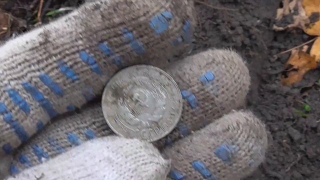 25 В лес за монетами))))