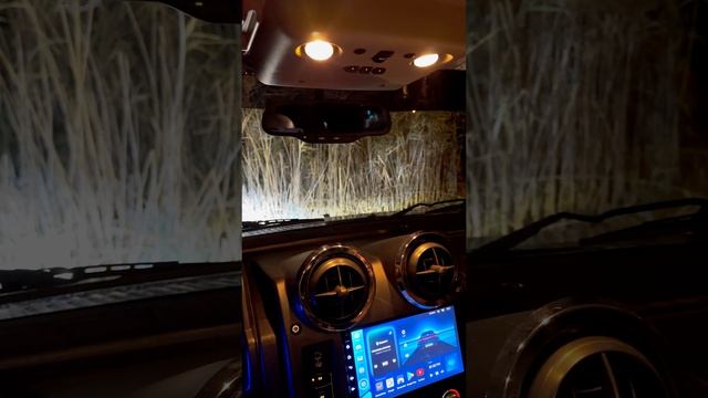 Уточек приехали посмотреть 🤣🤣🤣 #тренды #челендж #автомобили