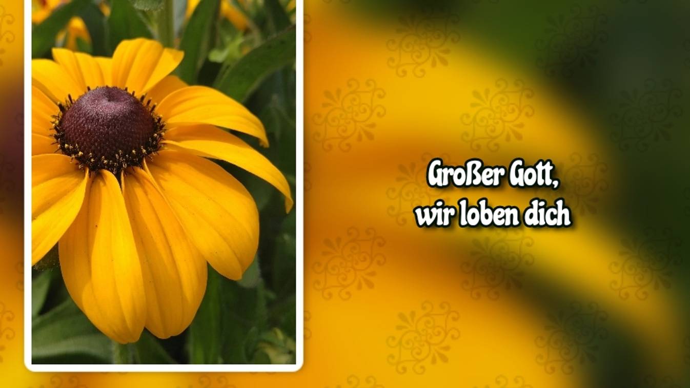 Großer Gott, wir loben dich (-)