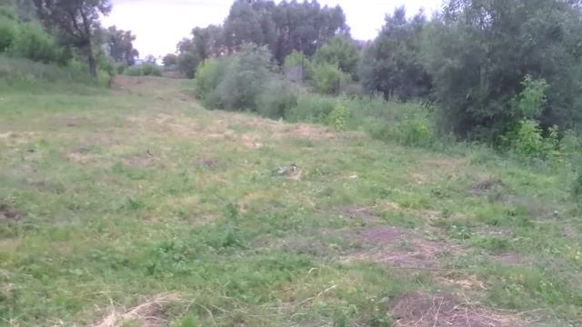 Озеро «Шапа кӳлли» д. Тоскаево от 19 июня 2016 года