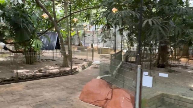 Лангкави контактный зоопарк Langkawi Wildlife Park 29.03.2024