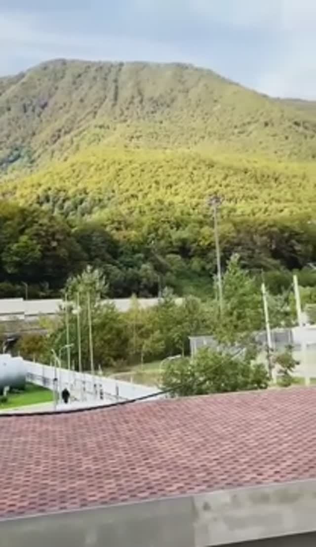 Апартамент на Красной Поляне за 13600🍋