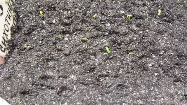 05.12.17г. Появилась плесень, что делать?