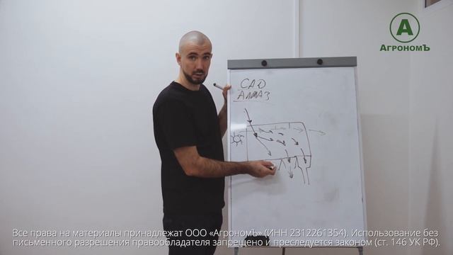 10. Машины воздушной очистки семян в ЗАВе простым языком