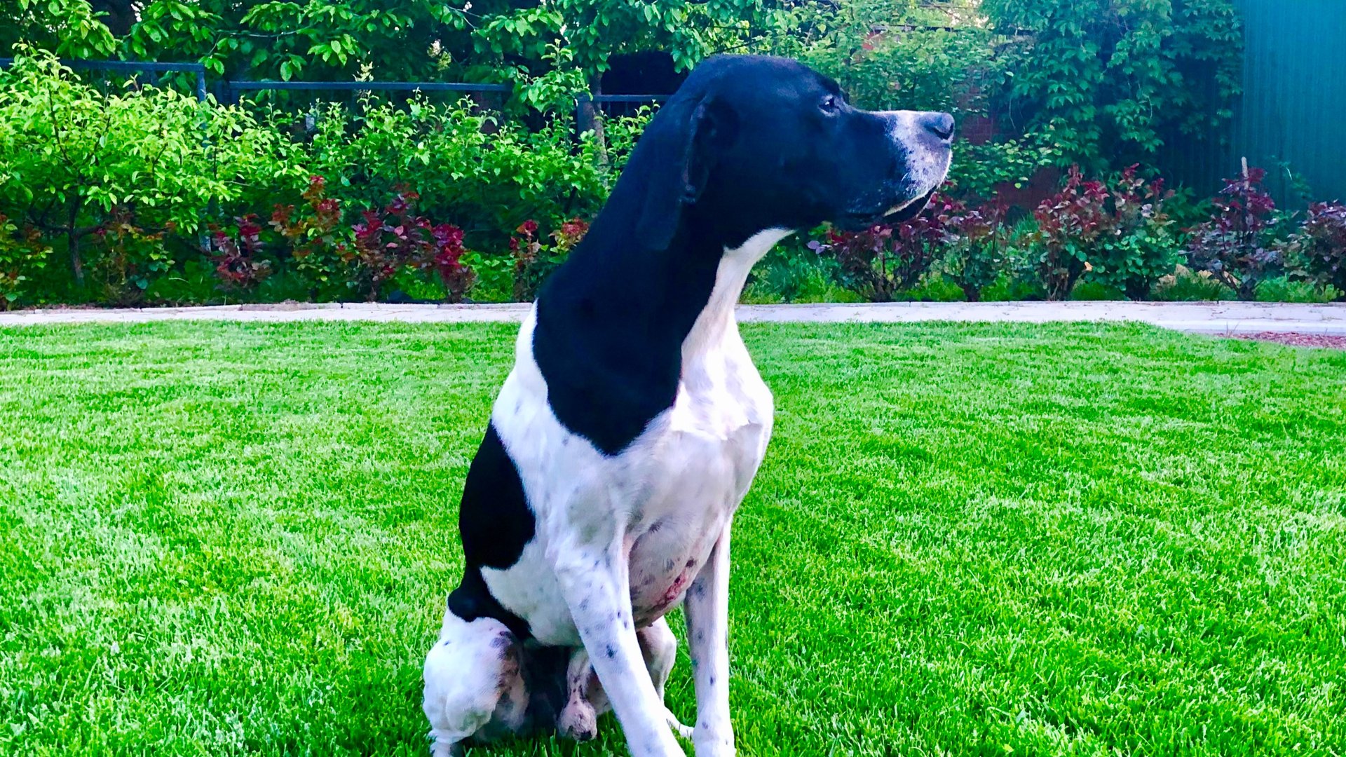 Памяти Дона...