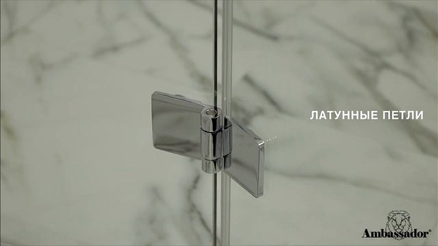 Душевой уголок Ambassador Diamond 12011106 100x100 см