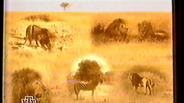 67 - От Винта {НТВ, 17.08.1997 год}{by Семен Ш} --не полный--HD+t 960p