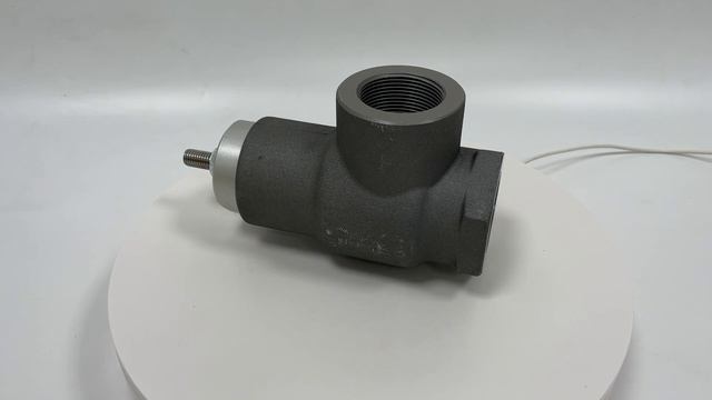 Клапан минимального давления G46 1 1/2"  220.2300