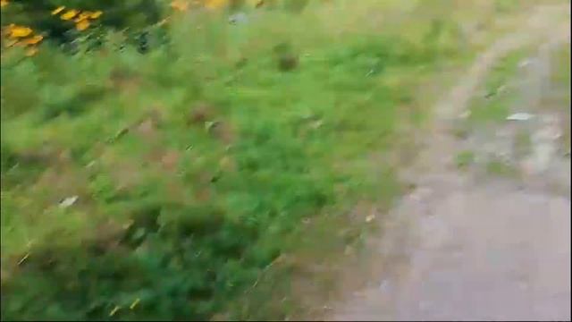 НАШЕСТВИЕ ВТОРАЯ ЧАСТЬ