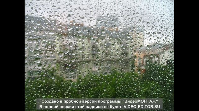 Нашид (Саукбилю я)