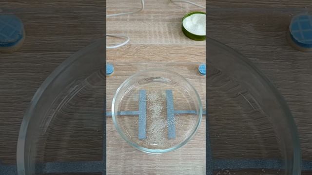 Однородное электрическое поле (поле плоского конденсатора) #shorts