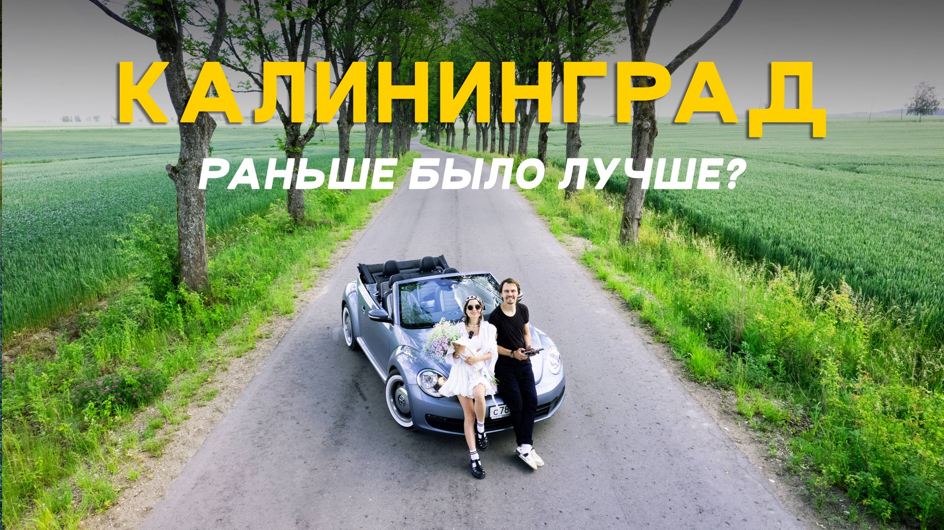 Чем живёт Калининград сегодня? / Город котиков, рок в храме и нескучная история