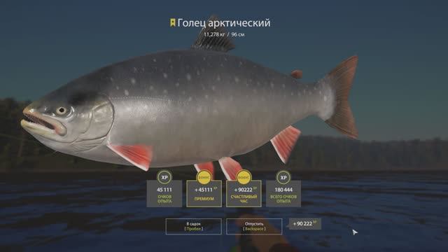 Русская Рыбалка 4. Трофейный Голец Арктический. р. Нижняя Тунгуска. Троллинг.