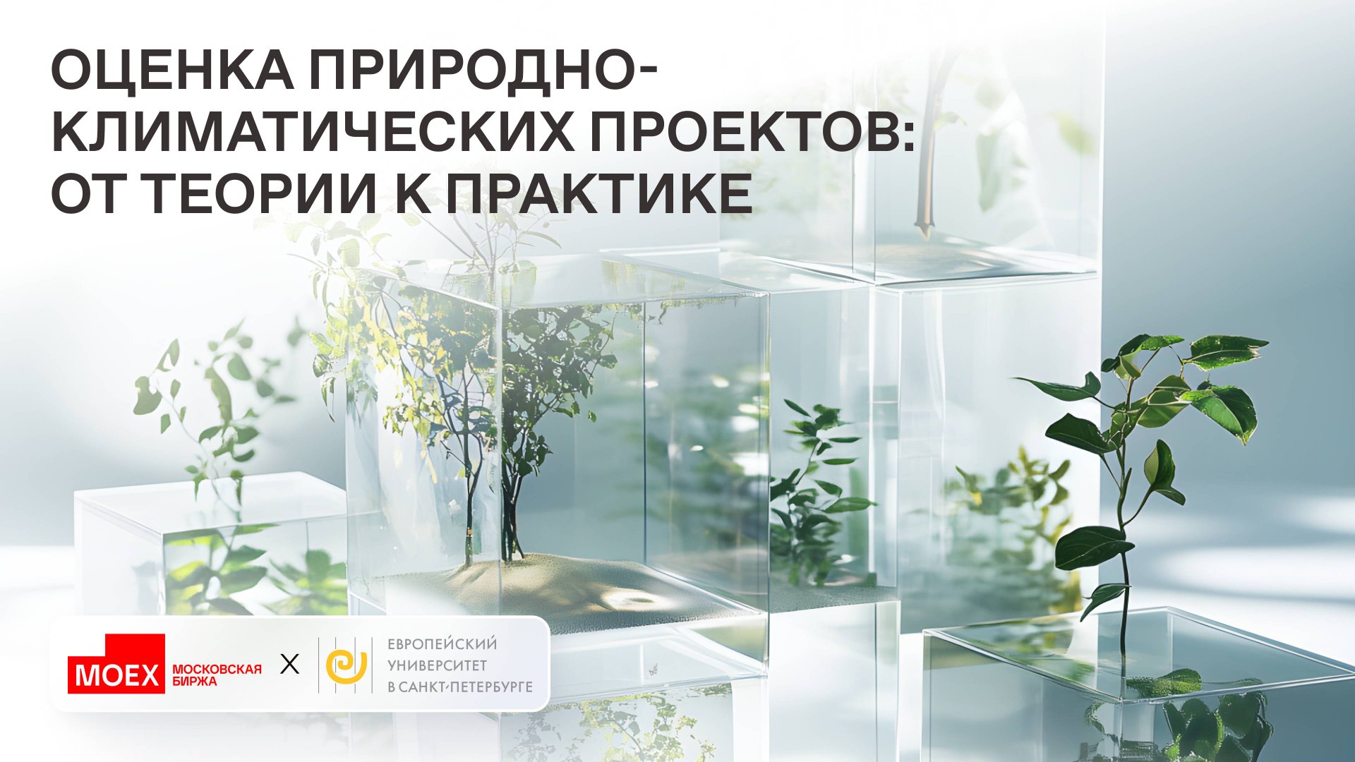 ESG вебинар: «Оценка природно-климатических проектов от теории к практике»