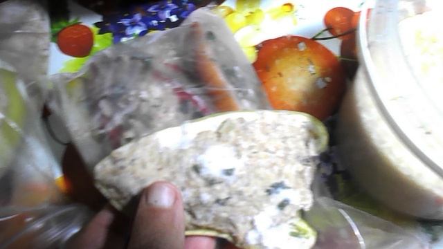 DSCN7873Мои полуфабрикаты для заморозки.Половинки перца фаршированные фаршем