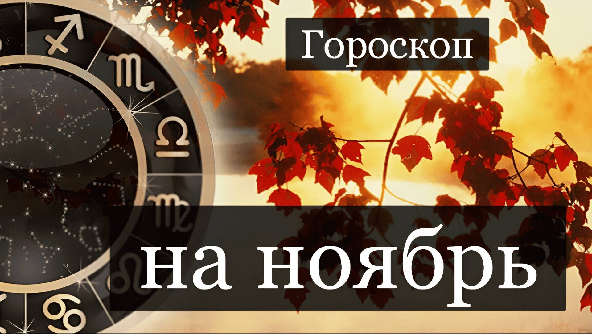 Водолеи на ноябрь 2024