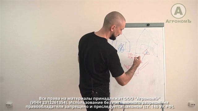 18. Подготовка семян простым языком