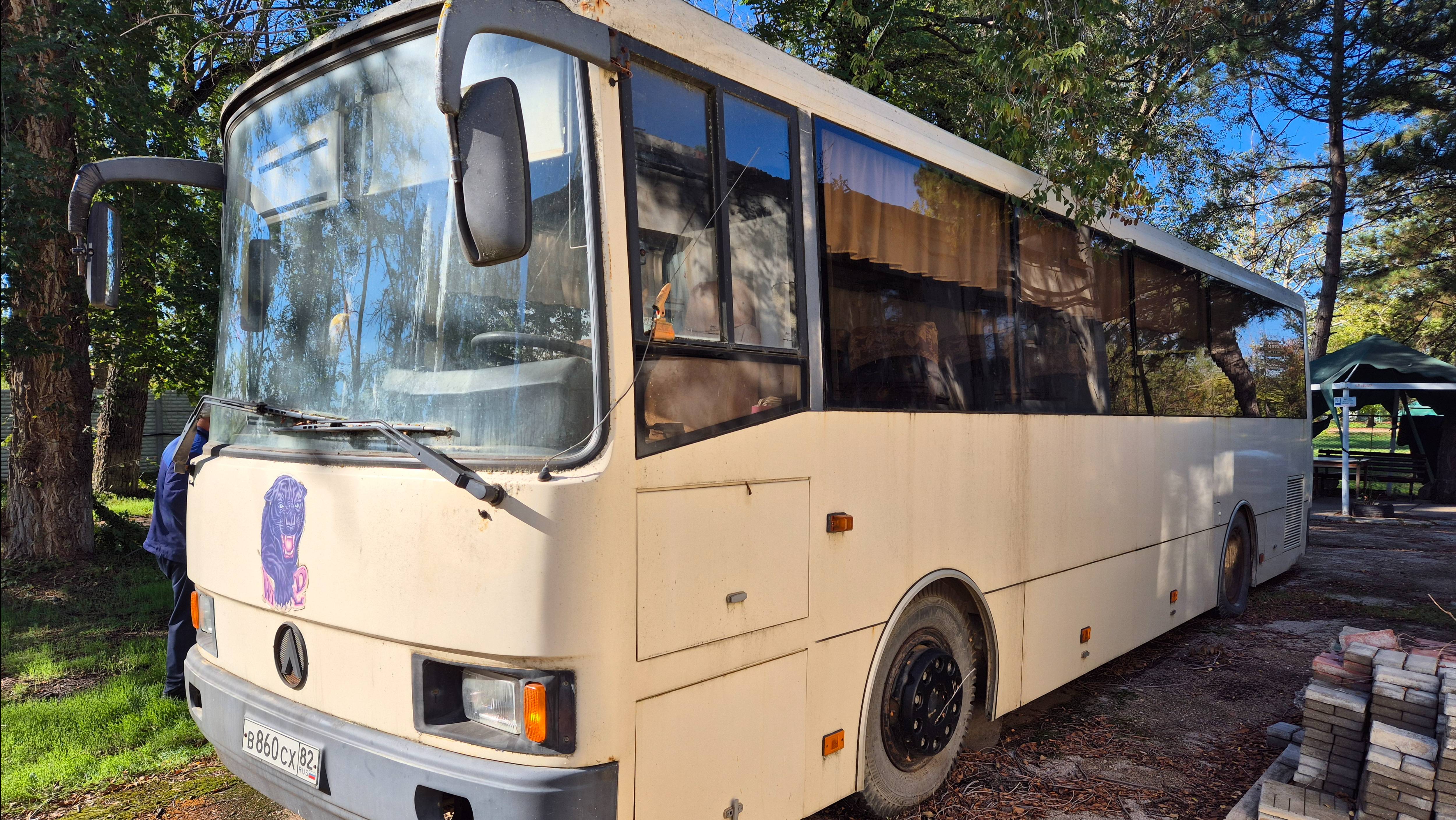 Автобус ЛАЗ 4207JT Лайнер10