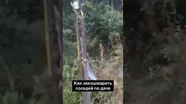 месть соседям