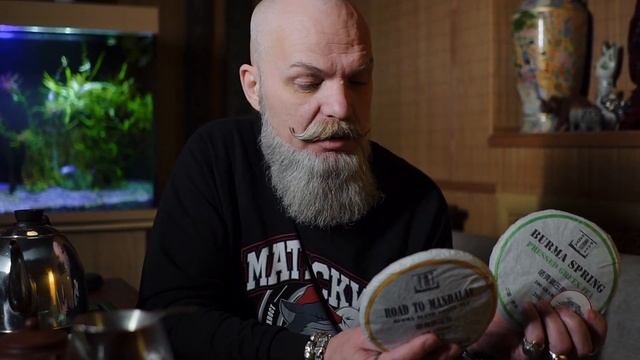 3 недооцененных шэна + конкурс