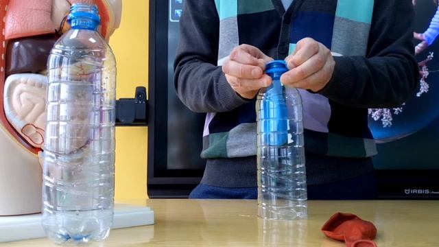 Как мы дышим, или физика дыхания