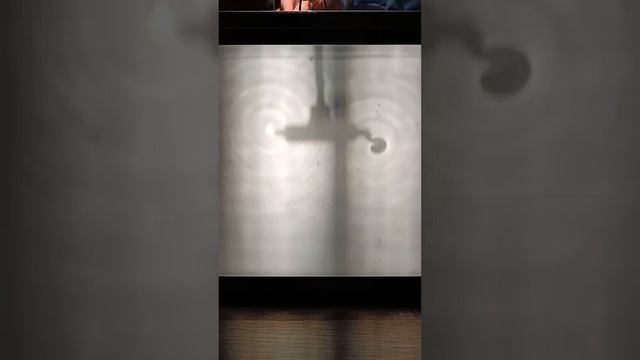Интерференция волн #physics #experiment #science #shorts