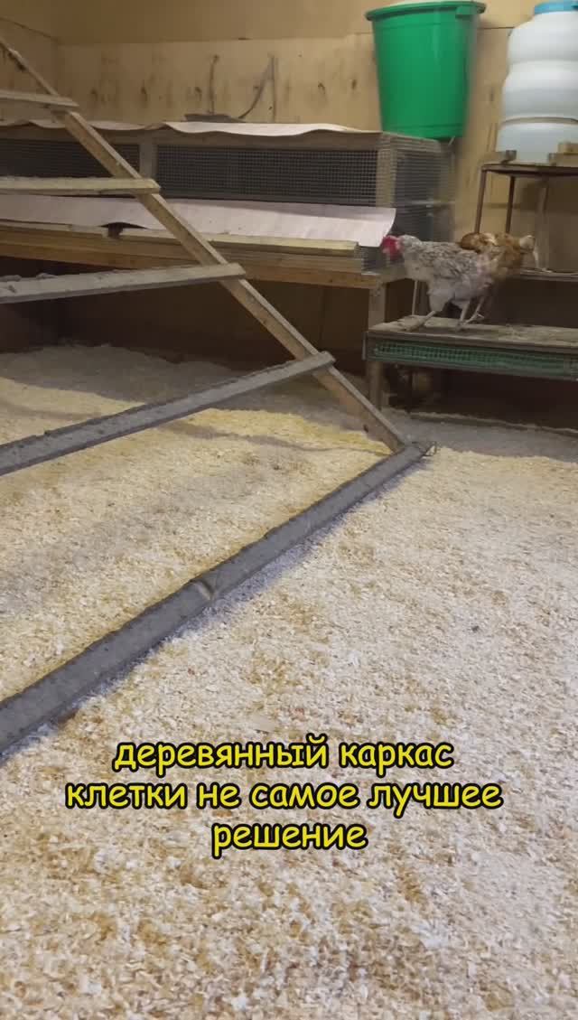 Переделываю курятник #домуреки #курятниксвоимируками #курынесушки #курятник #содержаниекур