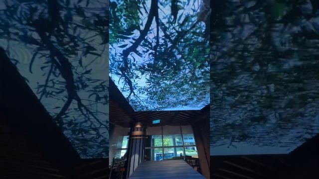 Аэропорт Куала-Лумпур