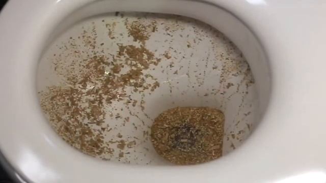 Тестирование унитаза Della Globus